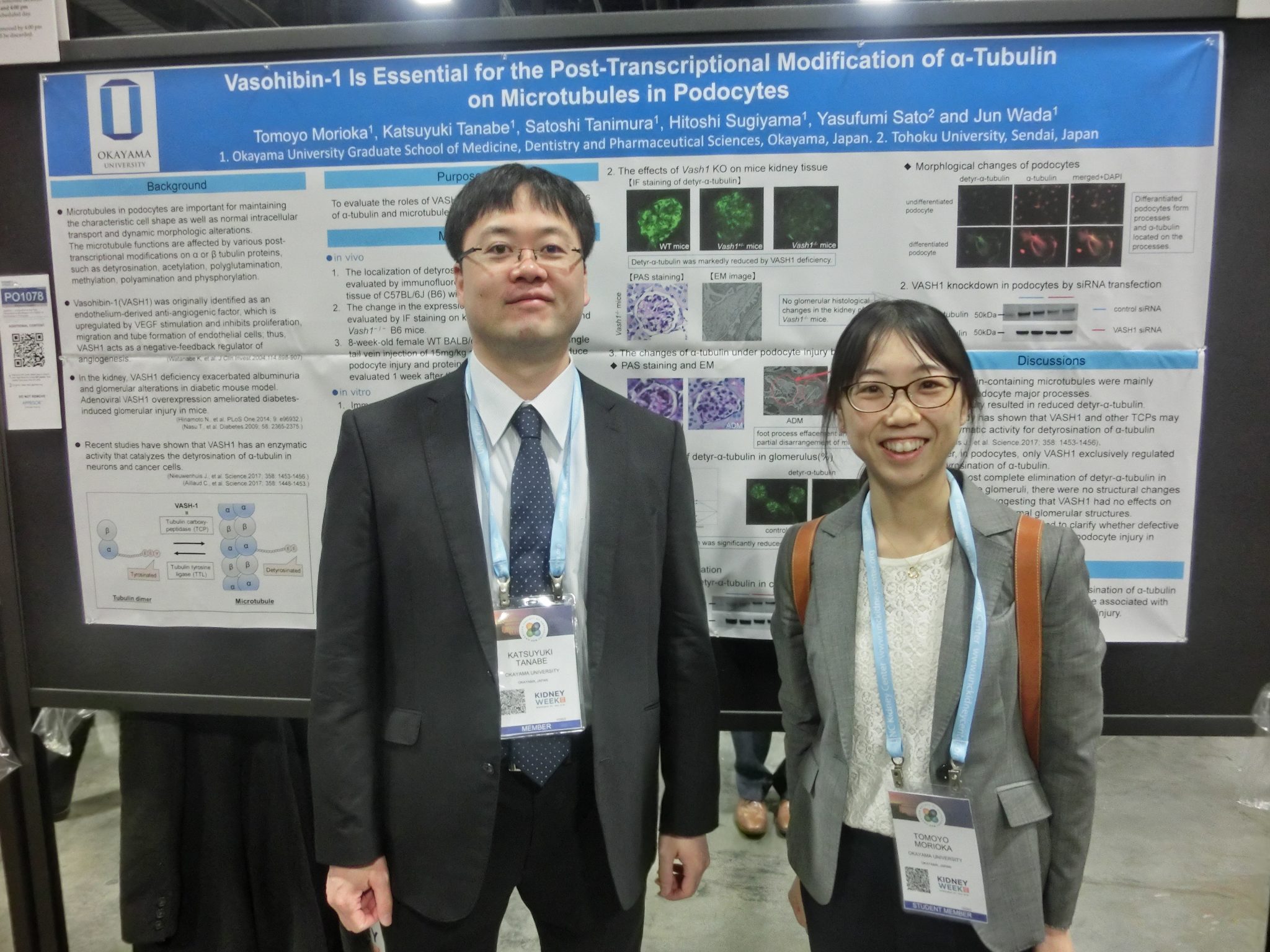 御舩朋代先生の原著論文’Vasohibin-1 has α-tubulin detyrosinating activity in ...